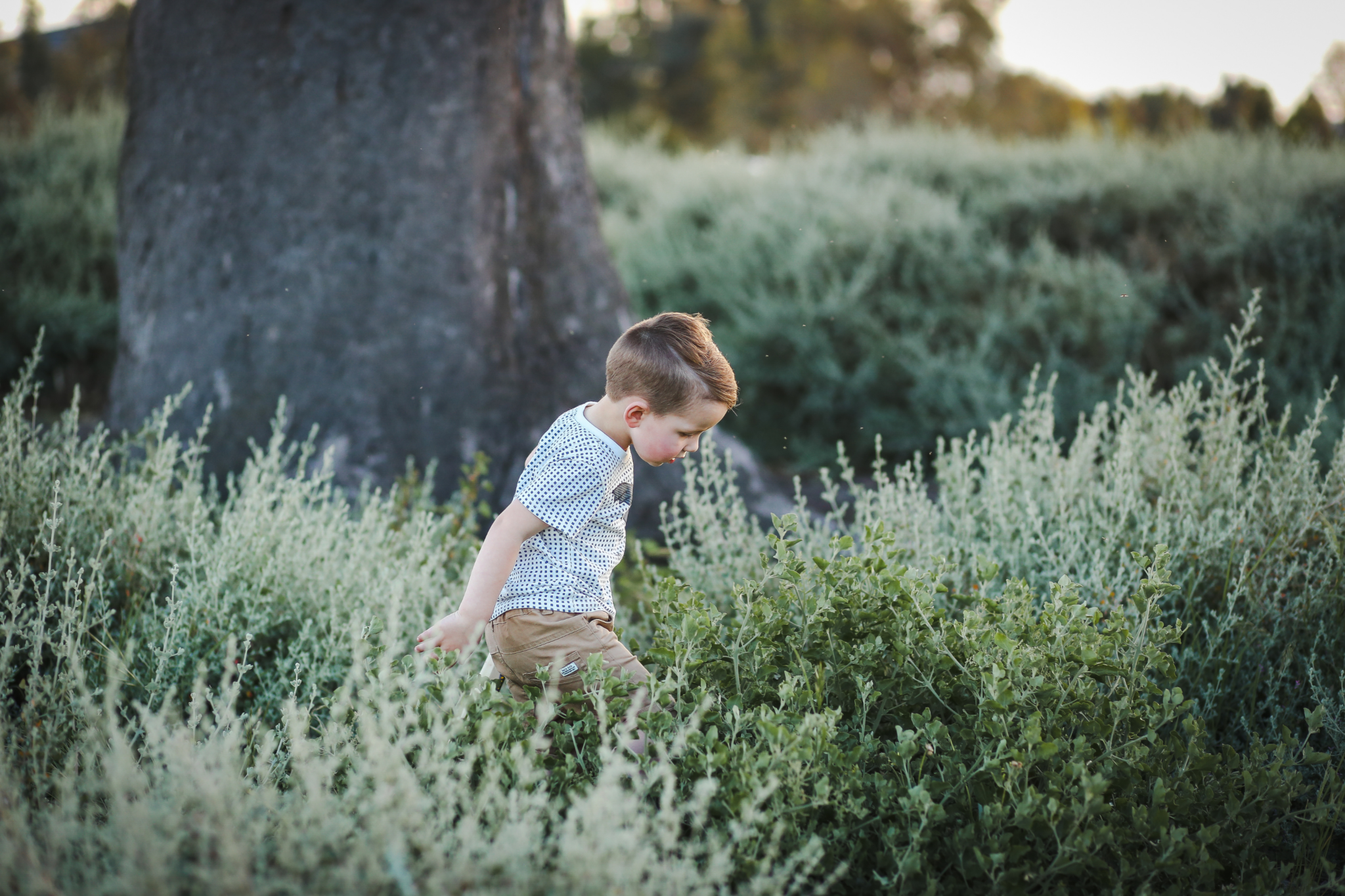 Over 100 Middle Names for Ace (Plus FREE pdf Download!) - Pribbles