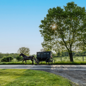 175+ Amazing Amish Names (Traditional and Biblical Boy and Girl Names ...