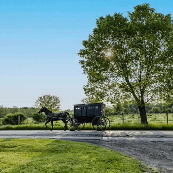175+ Amazing Amish Names (Traditional and Biblical Boy and Girl Names ...