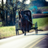175+ Amazing Amish Names (Traditional and Biblical Boy and Girl Names ...