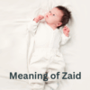 Zaid name meaning (Nicknames plus cool alternatives & more!) - Pribbles