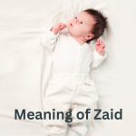 300+ Middle Names for Aiden (Strong & Sweet!) - Pribbles
