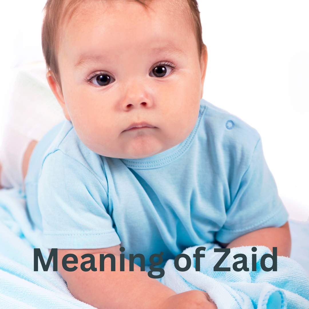 Zaid name meaning (Nicknames plus cool alternatives & more!) - Pribbles