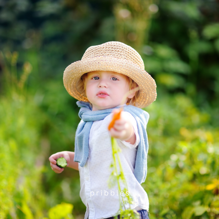175+ Amazing Amish Names (Traditional and Biblical Boy and Girl Names ...