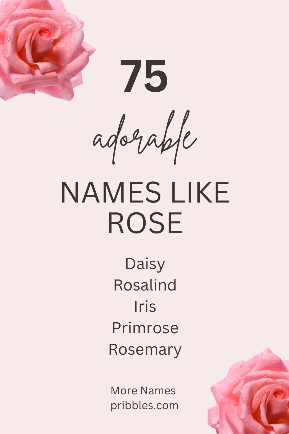 75 Beautiful Names Like Rose - Pribbles
