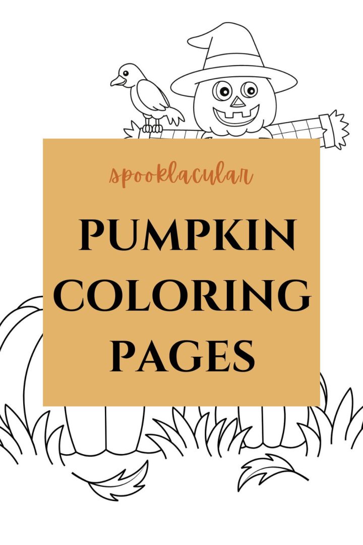 12 Super Cute Pumpkin Coloring Pages for Kids - Pribbles