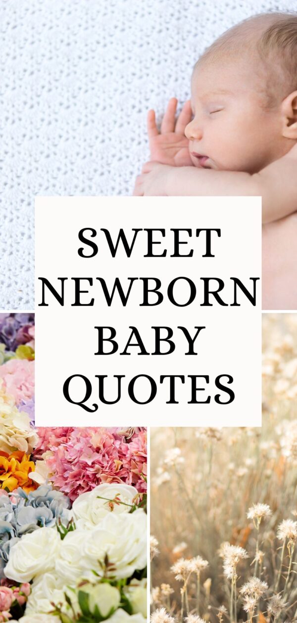 Heartwarming Newborn Baby Quotes to Celebrate Your Little One - Pribbles