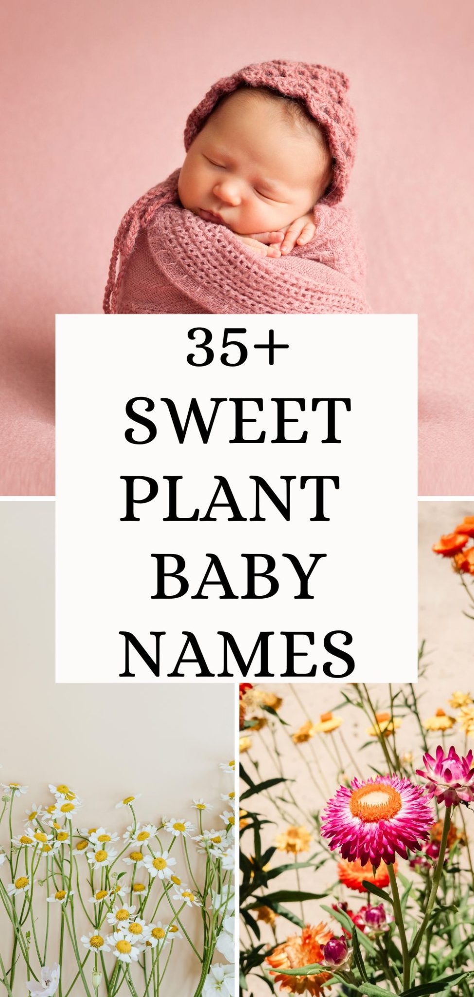 35+ Unique Plant Baby Names - Pribbles