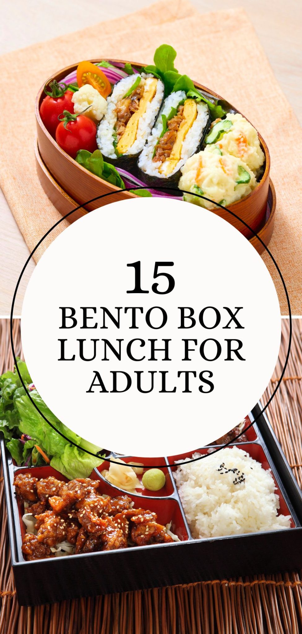 15 Bento Box Meal Ideas for Adults (That Are Easy and Delicious) - Pribbles
