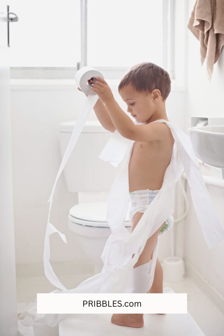 From Accidents to Achievements: Genius Potty Training Tips - Pribbles