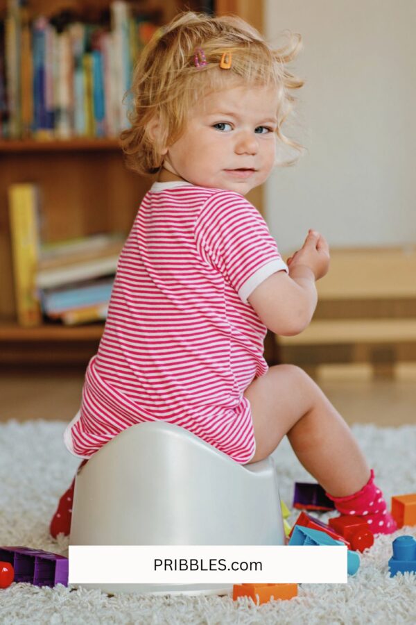 From Accidents to Achievements: Genius Potty Training Tips - Pribbles
