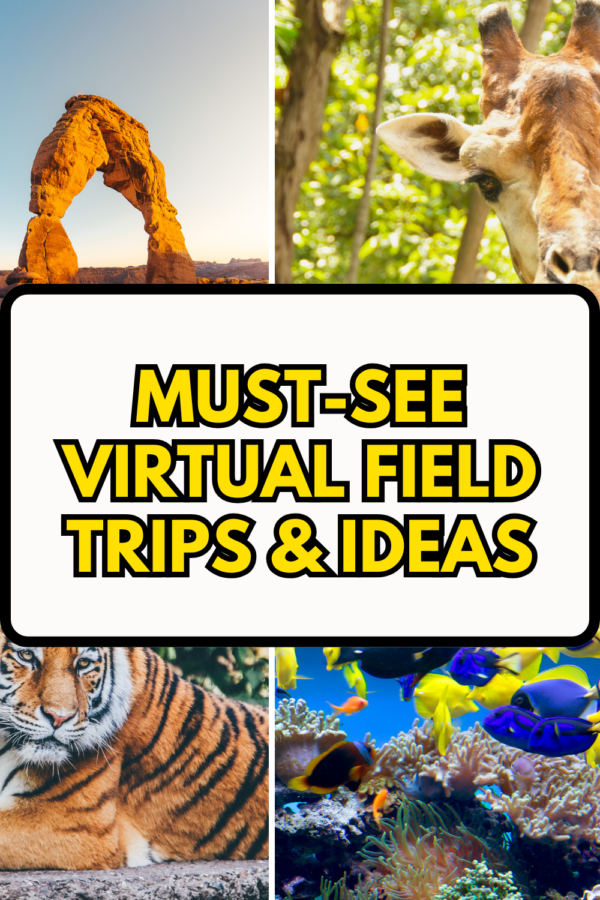 Virtual Field Trips: Ideas and Webcam Sites for Homeschoolers - Pribbles