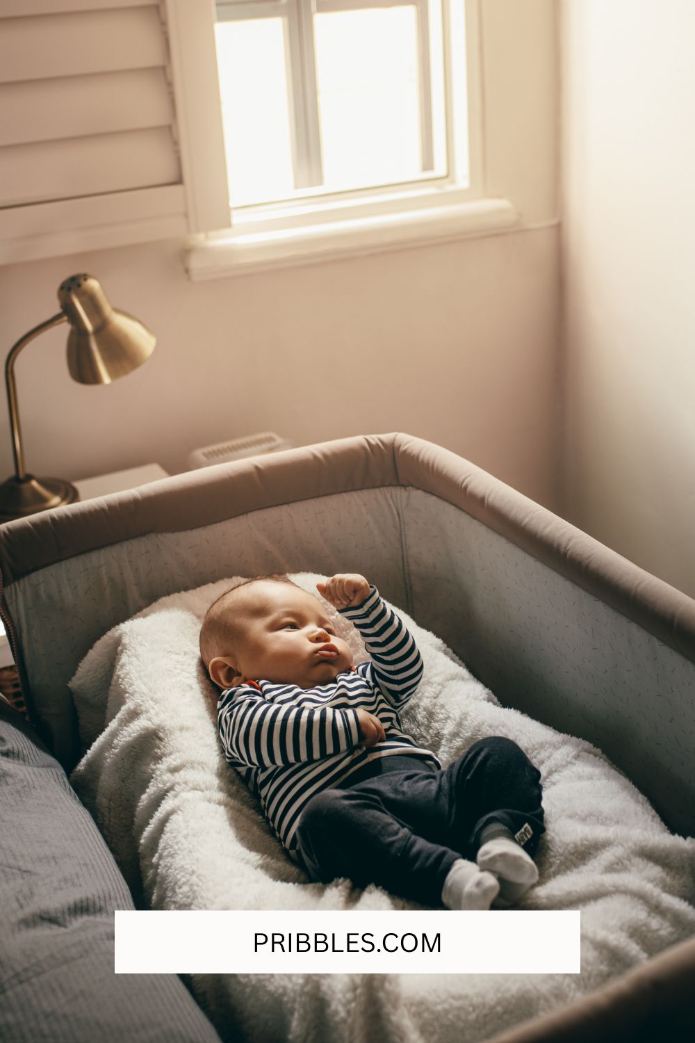 Bedside Cribs Compared: Which Co-Sleeper Is Right for Your Baby? - Pribbles